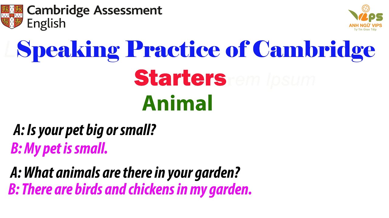 Speaking Practice - STARTERS - Animal - YouTube