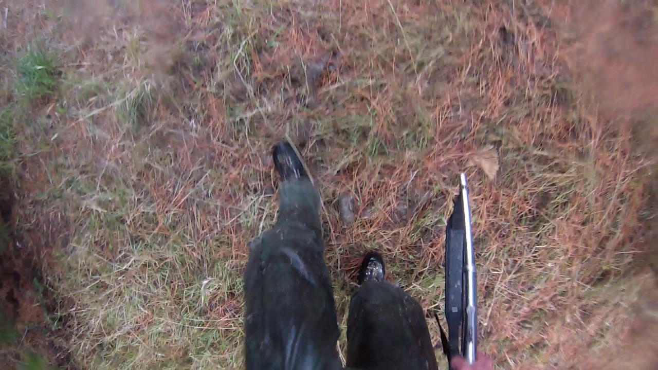 NZ Pig Hunting Thumper of a vet bill - YouTube