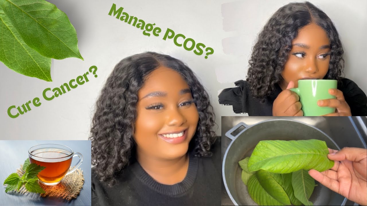 4 Bush Teas to Manage PCOS|Annelia |West Indian |Caribbean| Bush ...