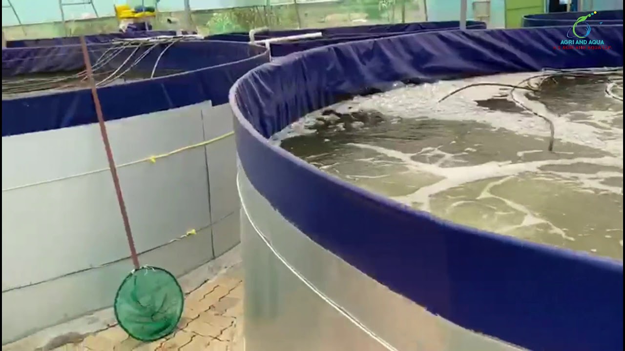 Hi Tech BioFloc Fish Farming - YouTube