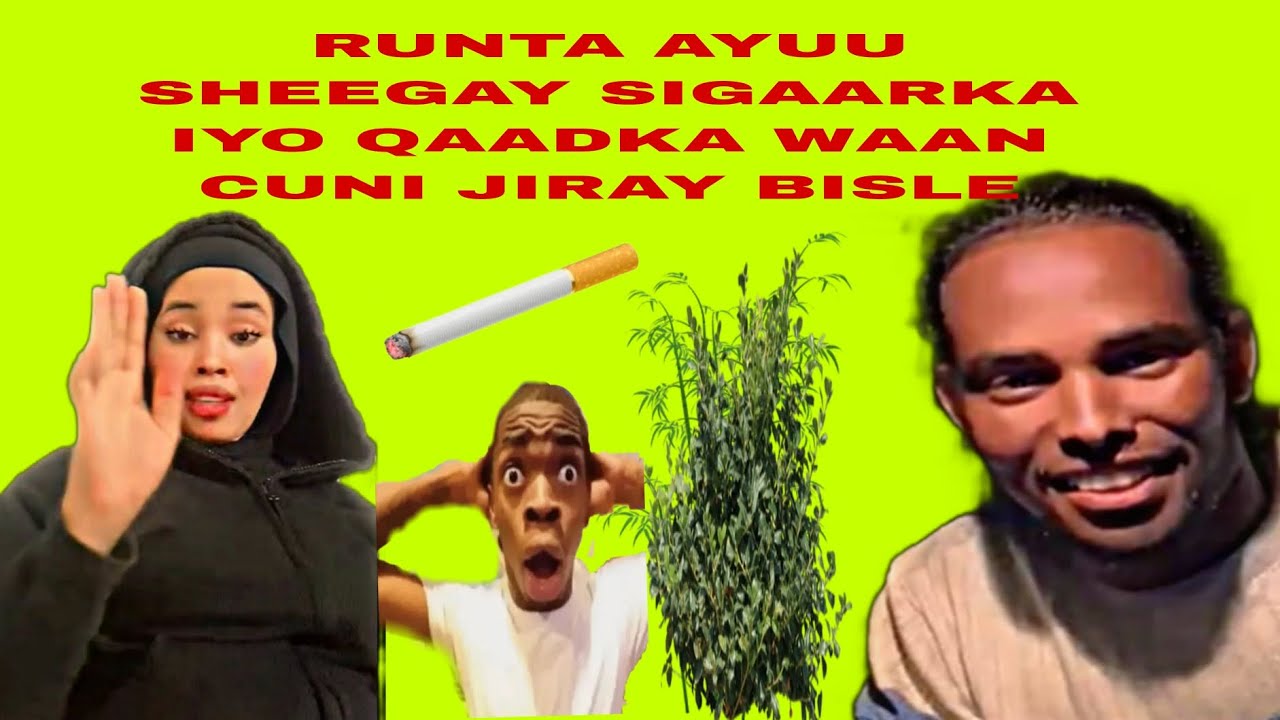 DAG DAG RUNTA AYUU SHEEGAY SIGAARKA IYO QAADKA WAAN CUNI JIRAY FARTA ...