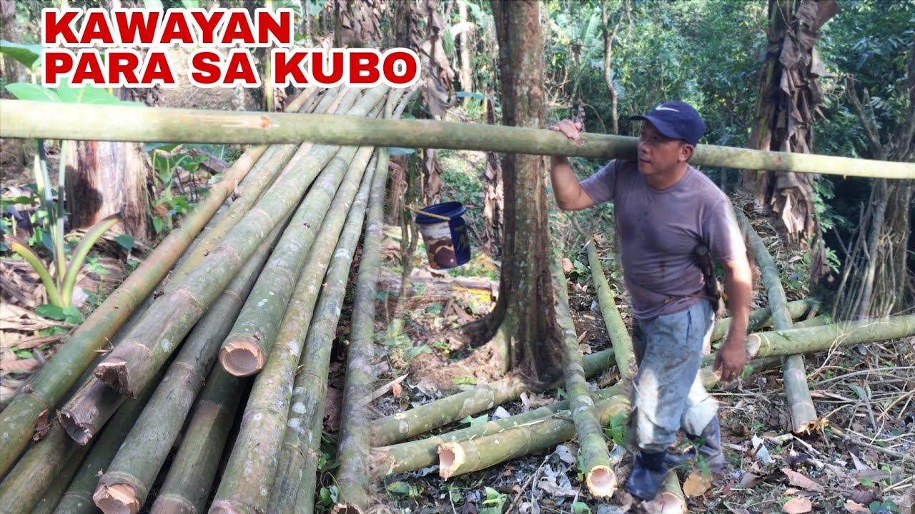 BAKIT NAG-HARVEST NG KAWAYAN | Biyaherong Batangueno - YouTube