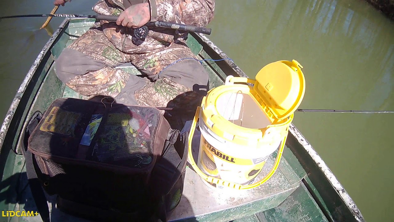 stringer of crappie slabs - YouTube