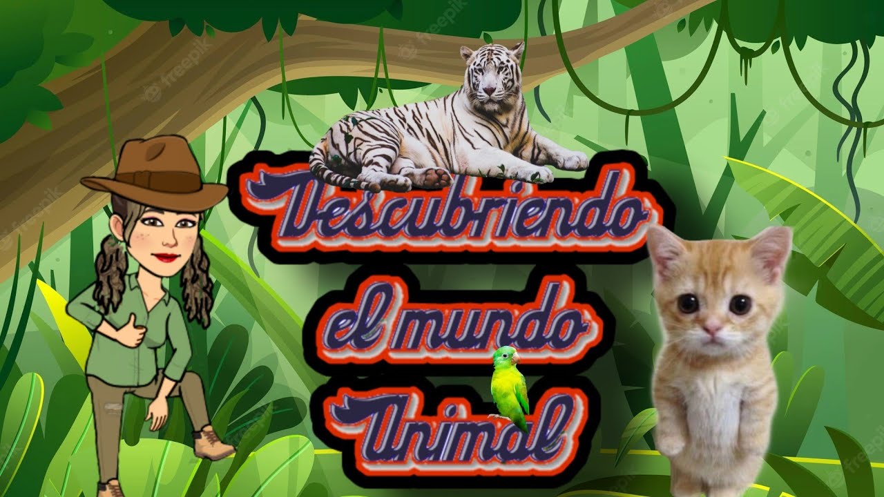 Descubriendo el mundo animal 🐈‍⬛🐈(párvulos 1)🐂🐏 - YouTube