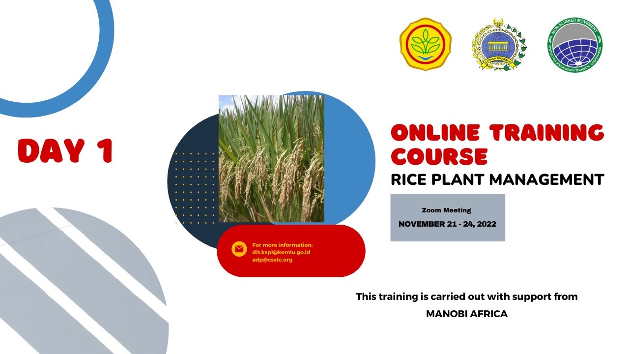Day 1 - Online Training Course on Rice Plant Management for African Countries - YouTube