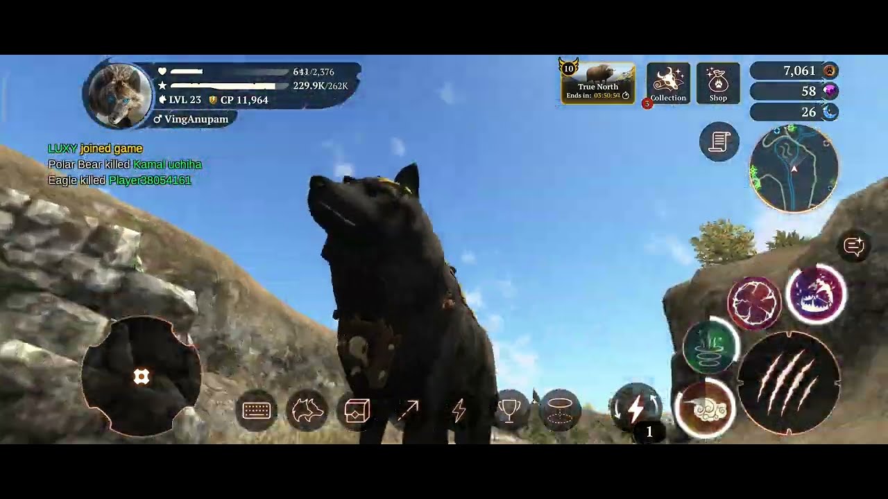 Wolf Simulator | Adventure Game 🫨 | Boar 🐗 Bear 🐻 Tiger 🐯 CP 13k ...