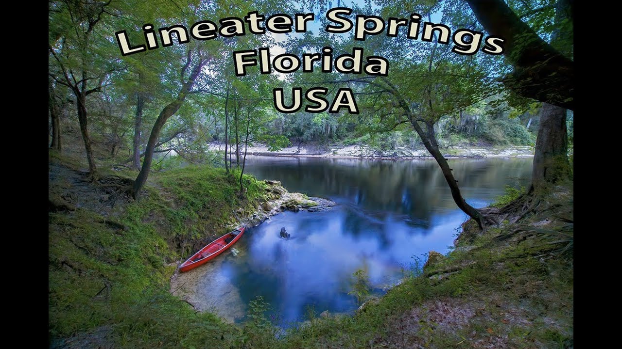 Lineater Spring Night Photography: Fun Foto Tips and Trips Episode #28 ...