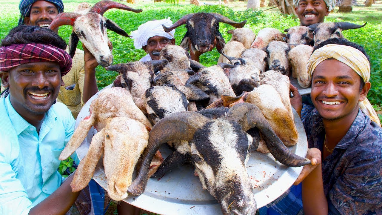 KING of GOAT HEAD CURRY | Goat Heat Recipe Cooking in Village by ...