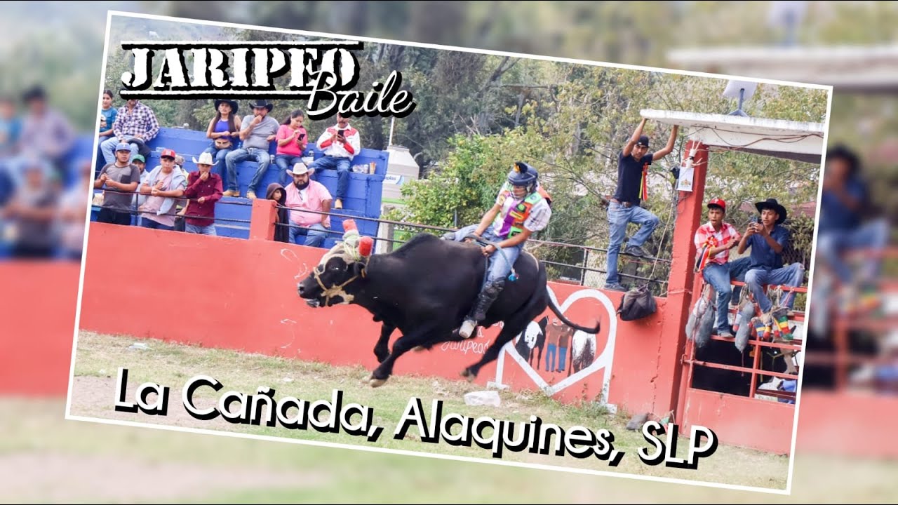 🎥2️⃣"Jaripeo" 95 Aniversario de Fundación Ej. La Cañada, Alaquines, SLP ...