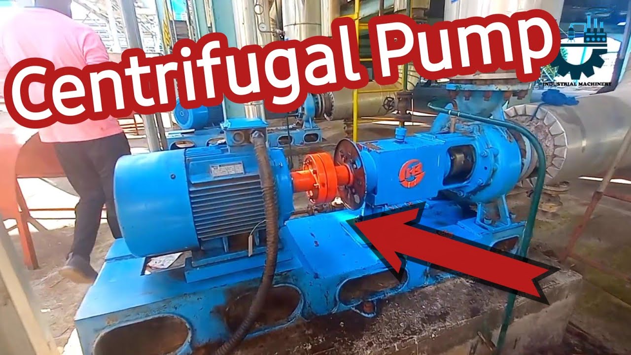 The Ultimate Guide to Centrifugal Pump Operation | guide | education ...