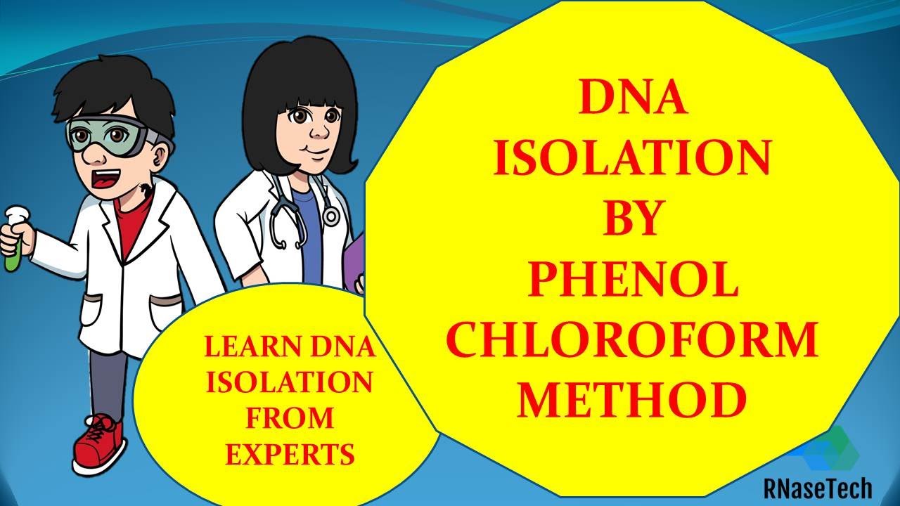 DNA Extraction By SDS Method Phenol, Chloroform Mixture, 54% OFF DNA Extraction By SDS Method Phenol, Chloroform Mixture, 54% OFF