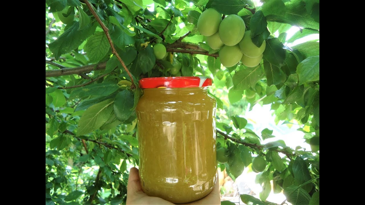 Acreală de corcodușe pentru iarnă | Beneficiile consumului de corcodușe ...