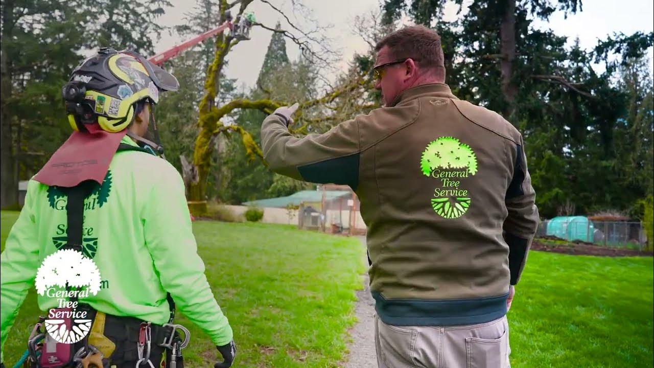 General Tree Service 30 second comercial - YouTube