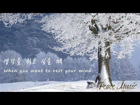 [Peace Music] Schubert Piano Trio NO.2 op100 2hr repeat #comfort #comforting_words