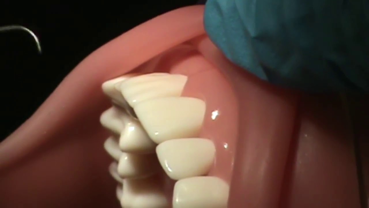 14. ODU Explorer Anterior - YouTube