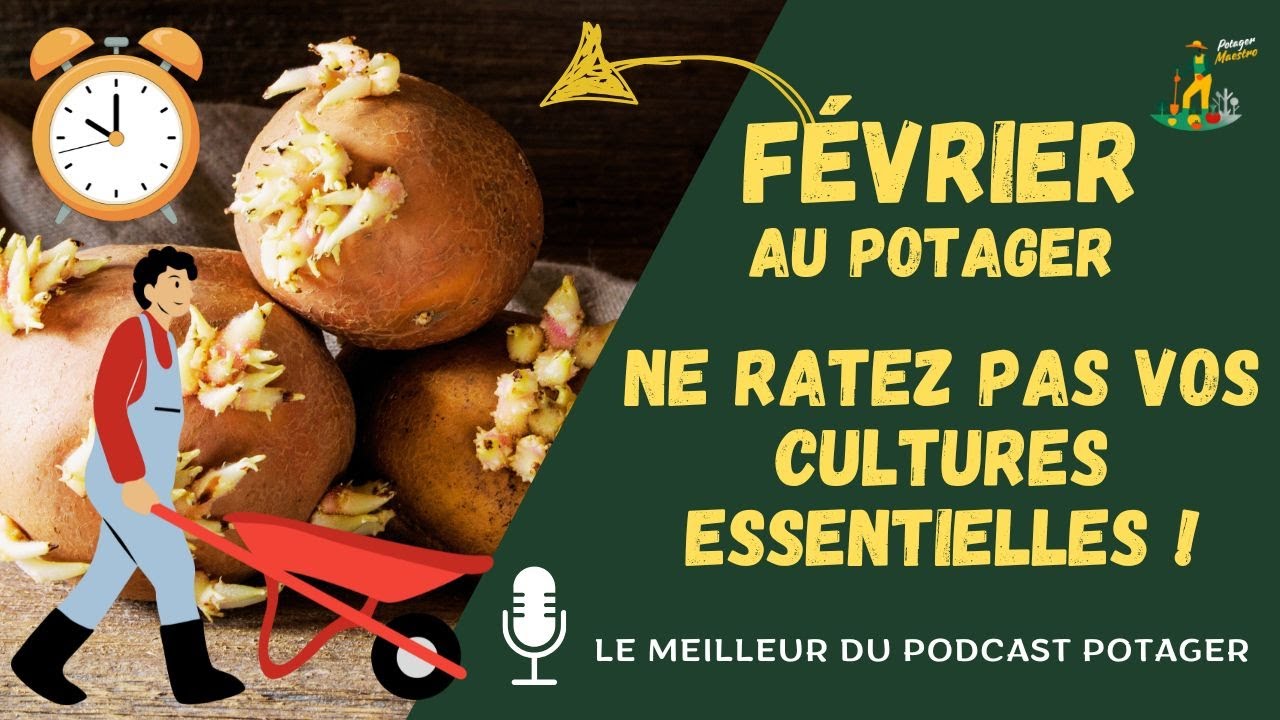 Que faire au potager en février : prégermination, bulbes et préparation ...