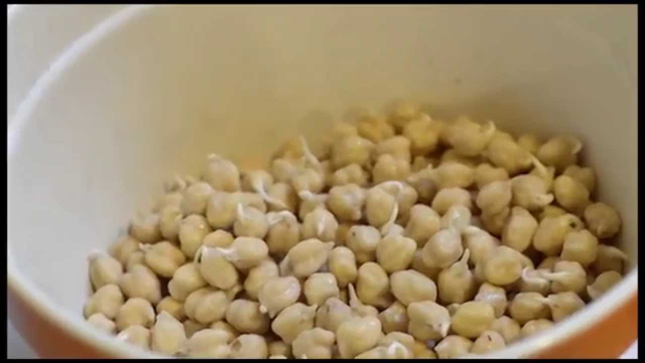 How to sprout large amounts of legumes and grains, the easy way! - YouTube