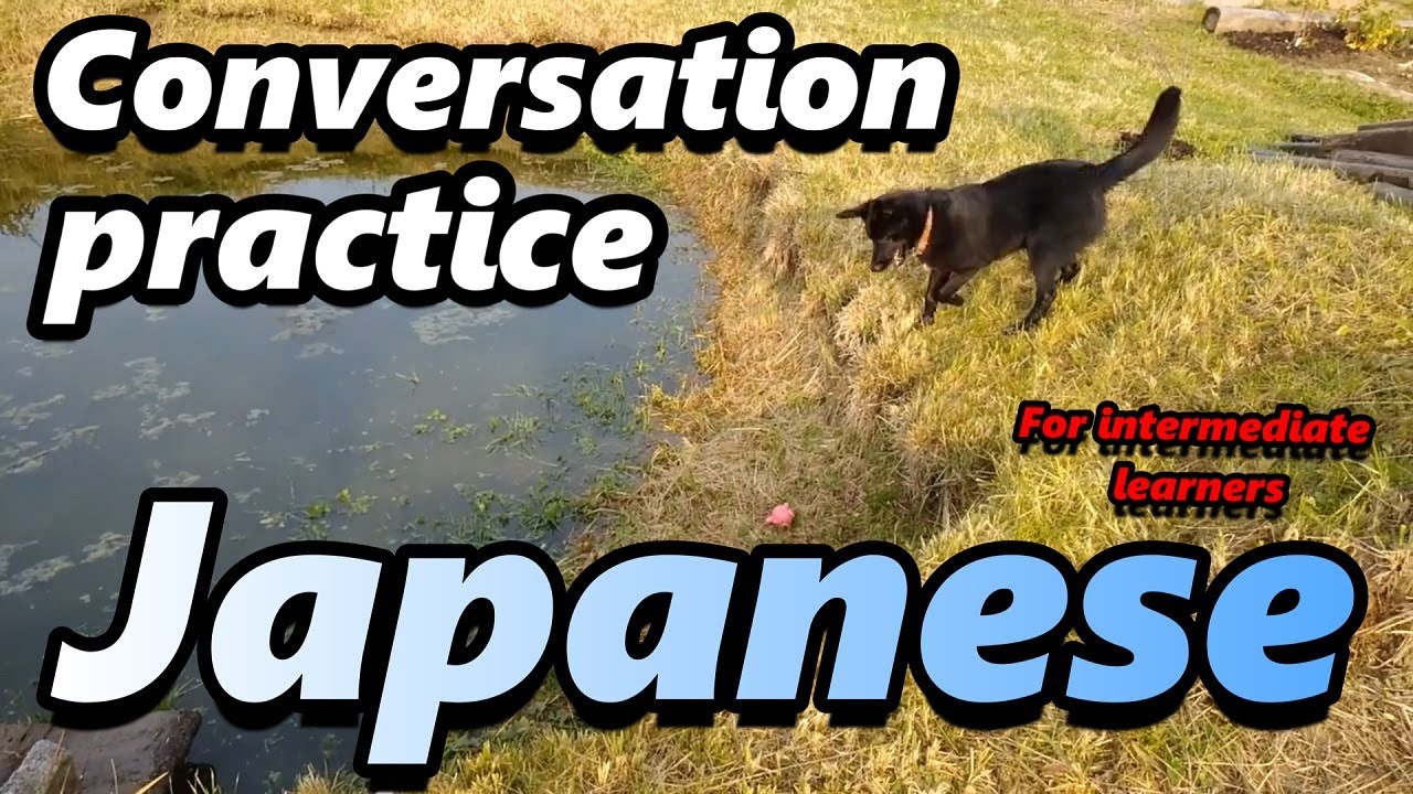 Japanese conversation practice - YouTube