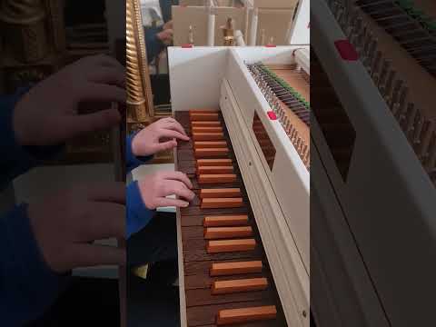 Never gonna give you up - Rick Astley by 10yo on Harpsichord