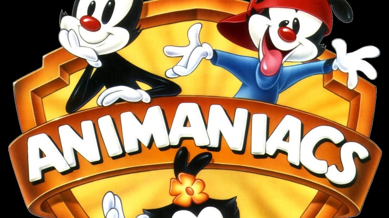 My Animaniacs DVD Collection - YouTube
