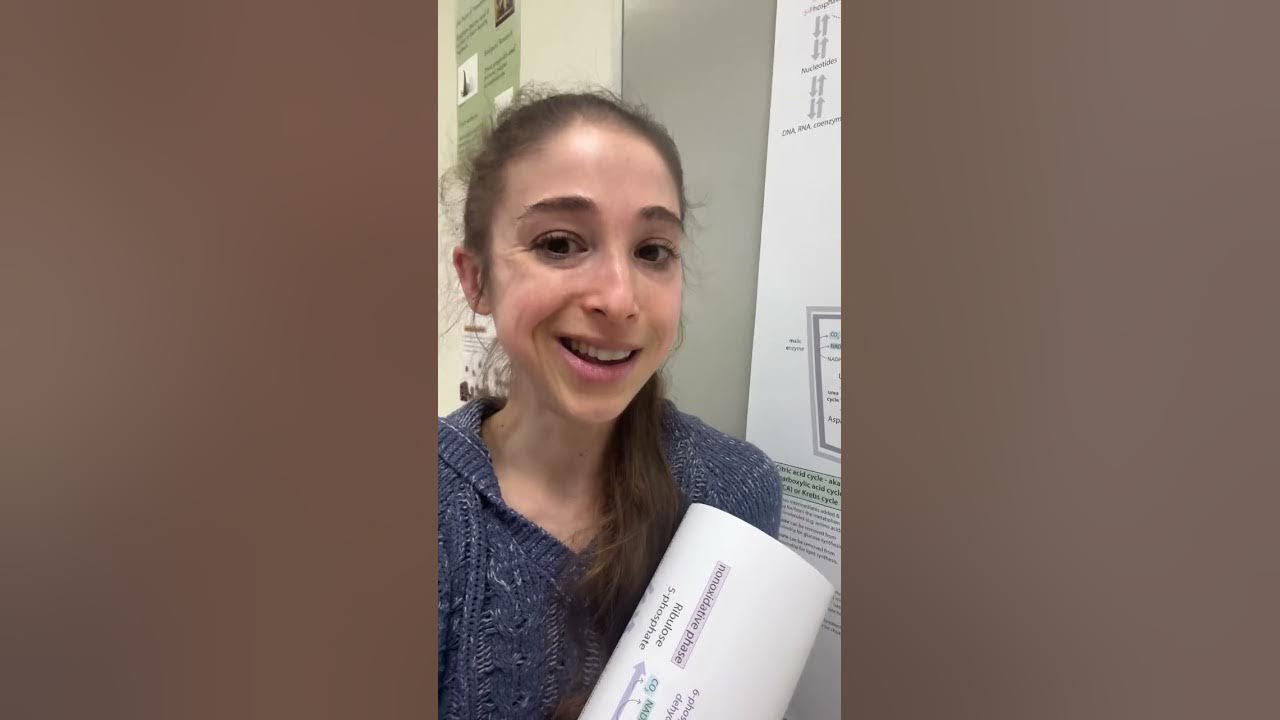 Expanded core metabolic roadmap poster - free PDF - YouTube