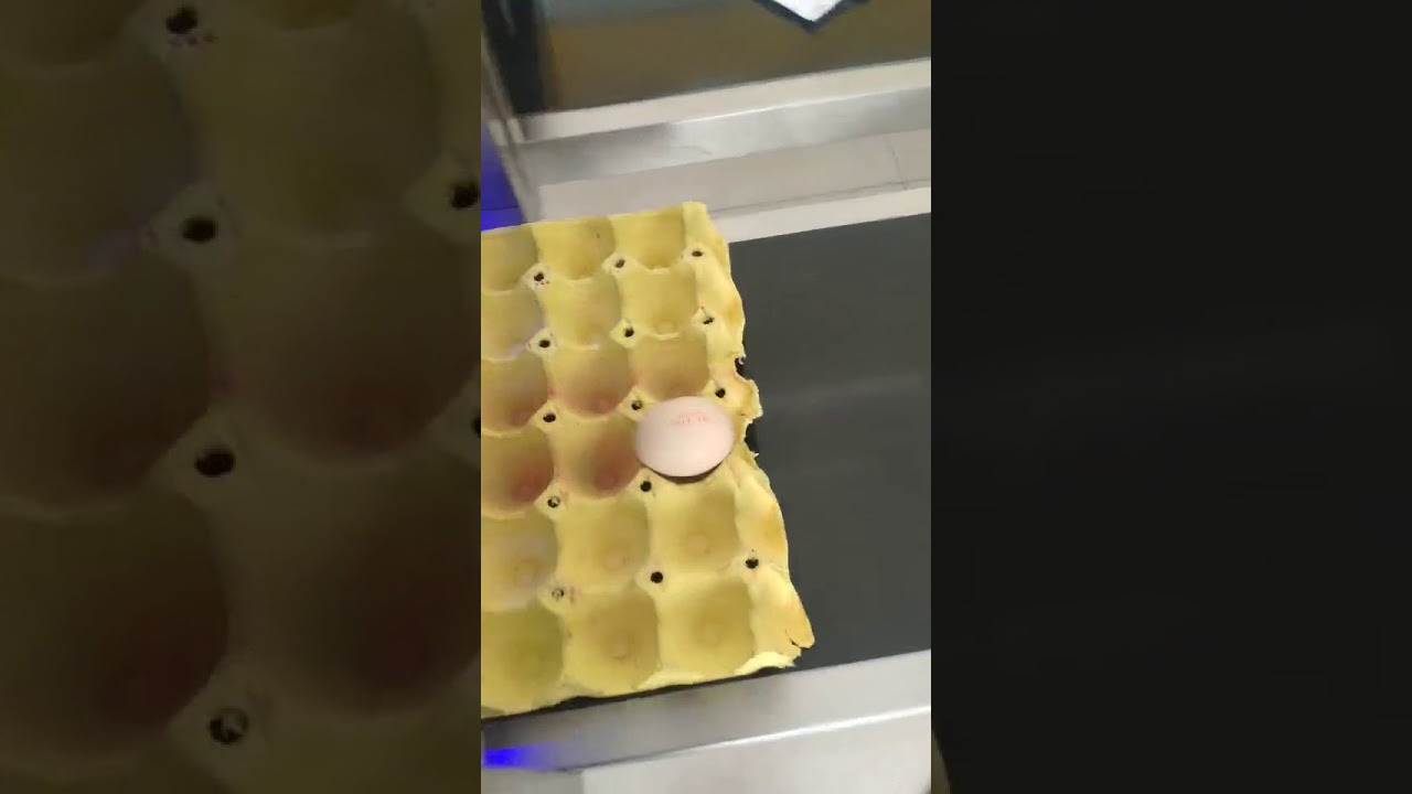 Egg coding machine, egg printing machine. - YouTube