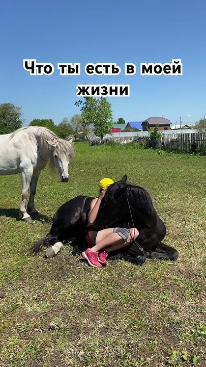 История одной дружбы - YouTube
