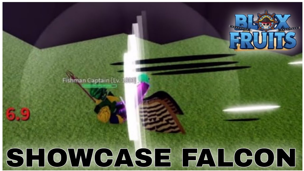 Tori Tori No Mi Model Fakuron / Falcon Beast ( Zoan ) Devil Fruit ...