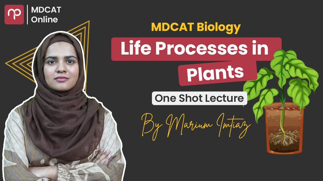 Life Processes in Plants | One Shot Lecture | MDCAT Biology - YouTube