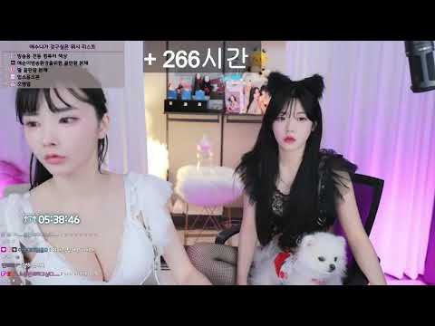 애순이 클립 노방종중 방종언제해요? 질문에 화가난 스트리머