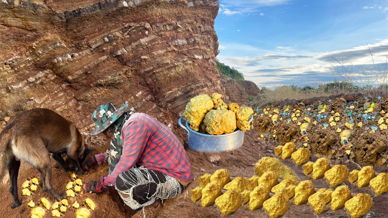 LIVE/OMG! Mining Treasures Diamond & Gemstone Under Stone at Big River ...