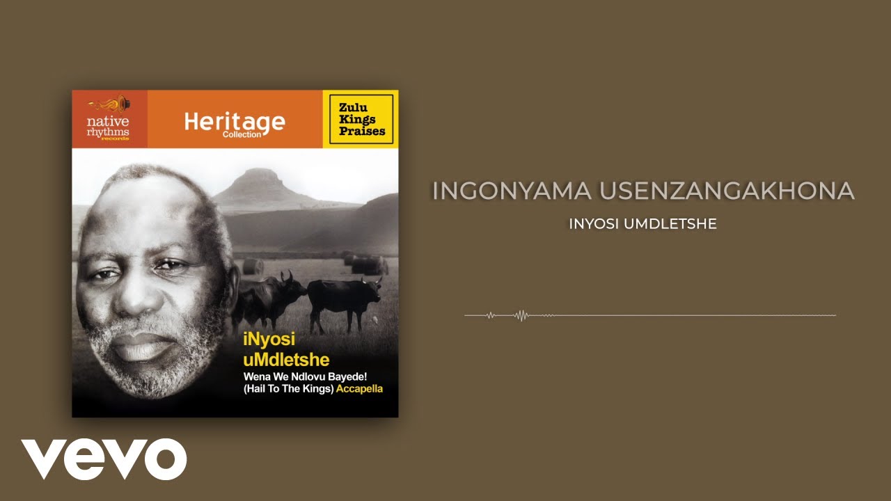 iNyosi uMdletshe - iNgonyama uSenzangakhona (Visualizer) - YouTube
