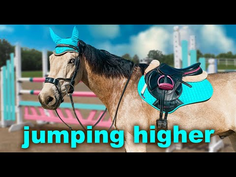 GoPro Show Jumping Practice - YouTube