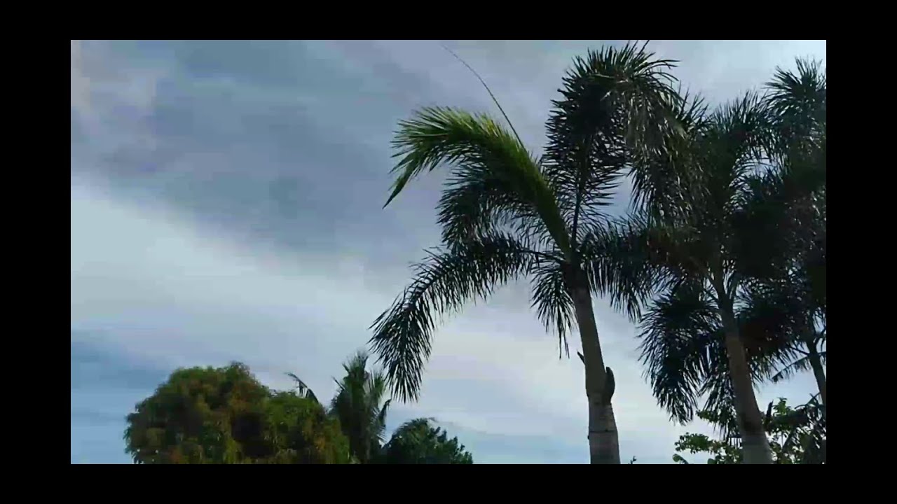 Real dragon caught on camera footage in Philippines😮 - YouTube