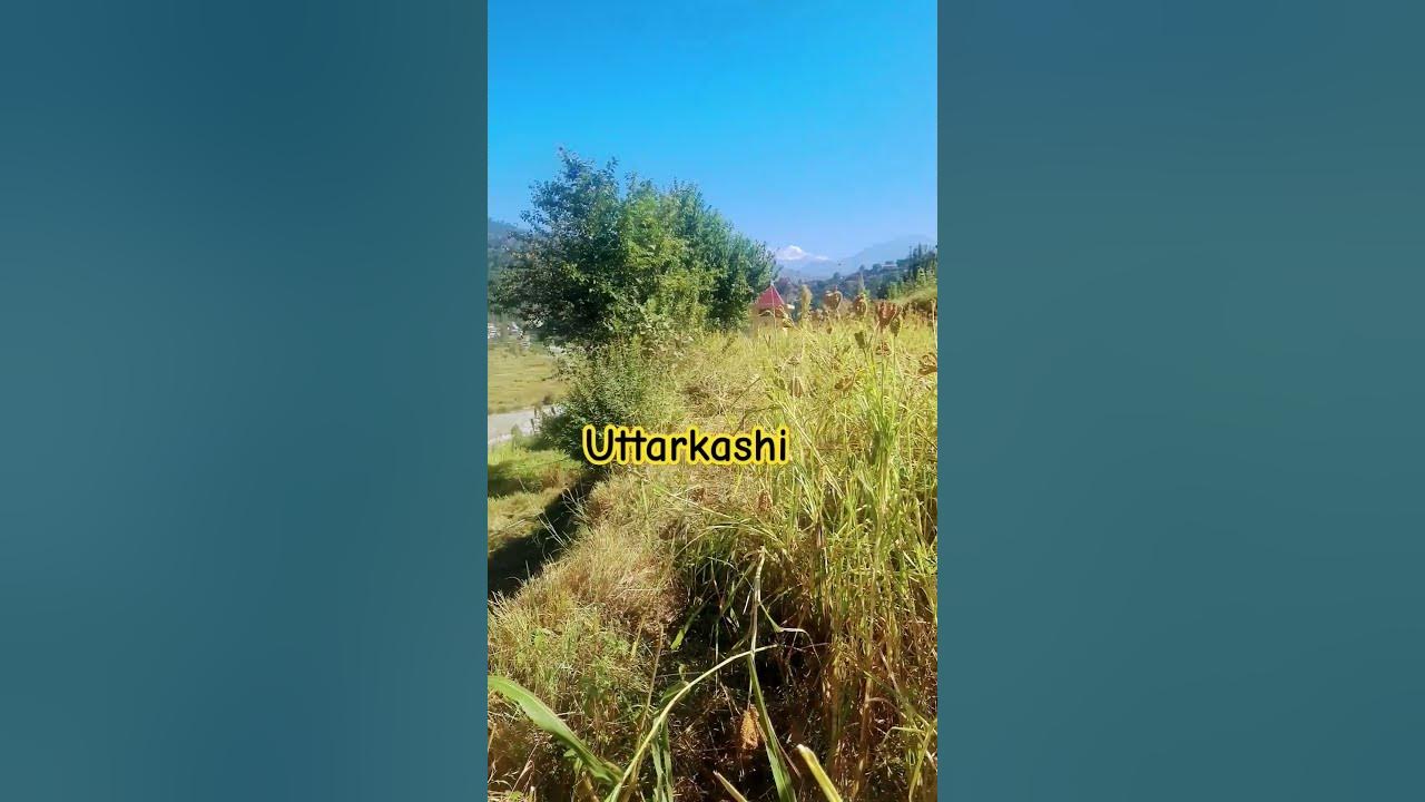 uttarkashi #travel #mountains #pahadicalture #himanchali #nature #himalyilog - YouTube