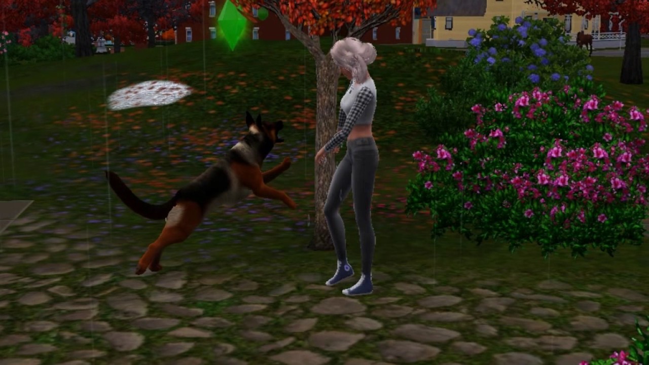 my highly trained cop dogs sims 3 pets - YouTube