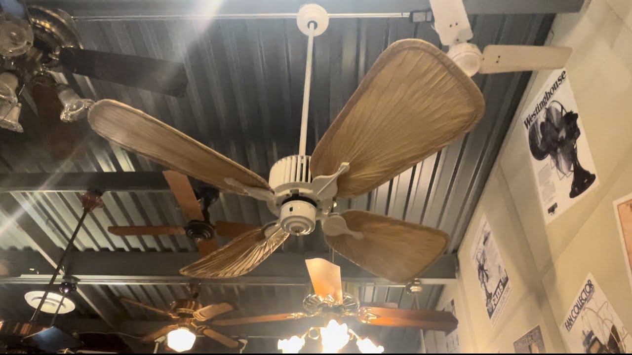 52 Inch Fanimation louvre in cream - YouTube