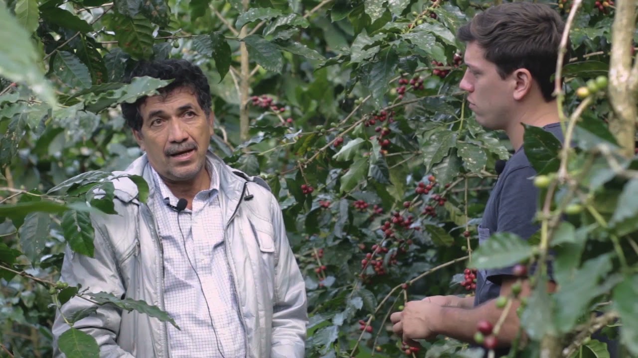 VIRTUAL ORIGIN EXPERIENCE NICARAGUA BYRON CORRALES OF FINCA LOS PINOS ...