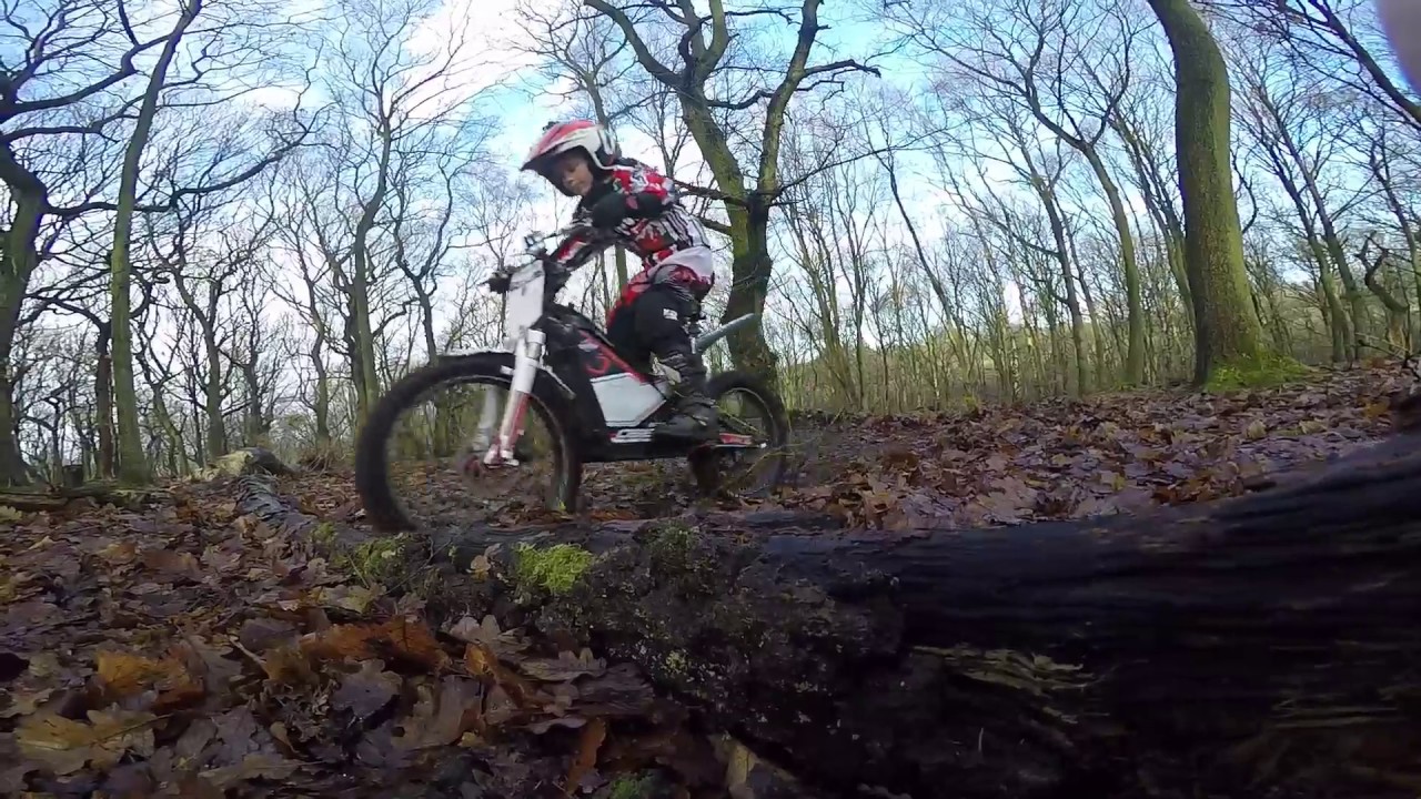 Finlay's OSET More Wild in the Woods - YouTube