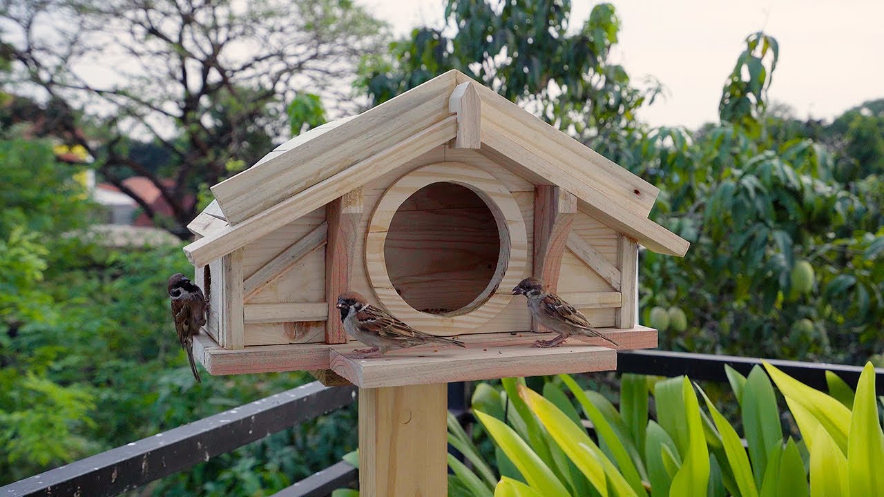 Make Wooden Hobbit Bird Feeder for Feeding the Bird - YouTube