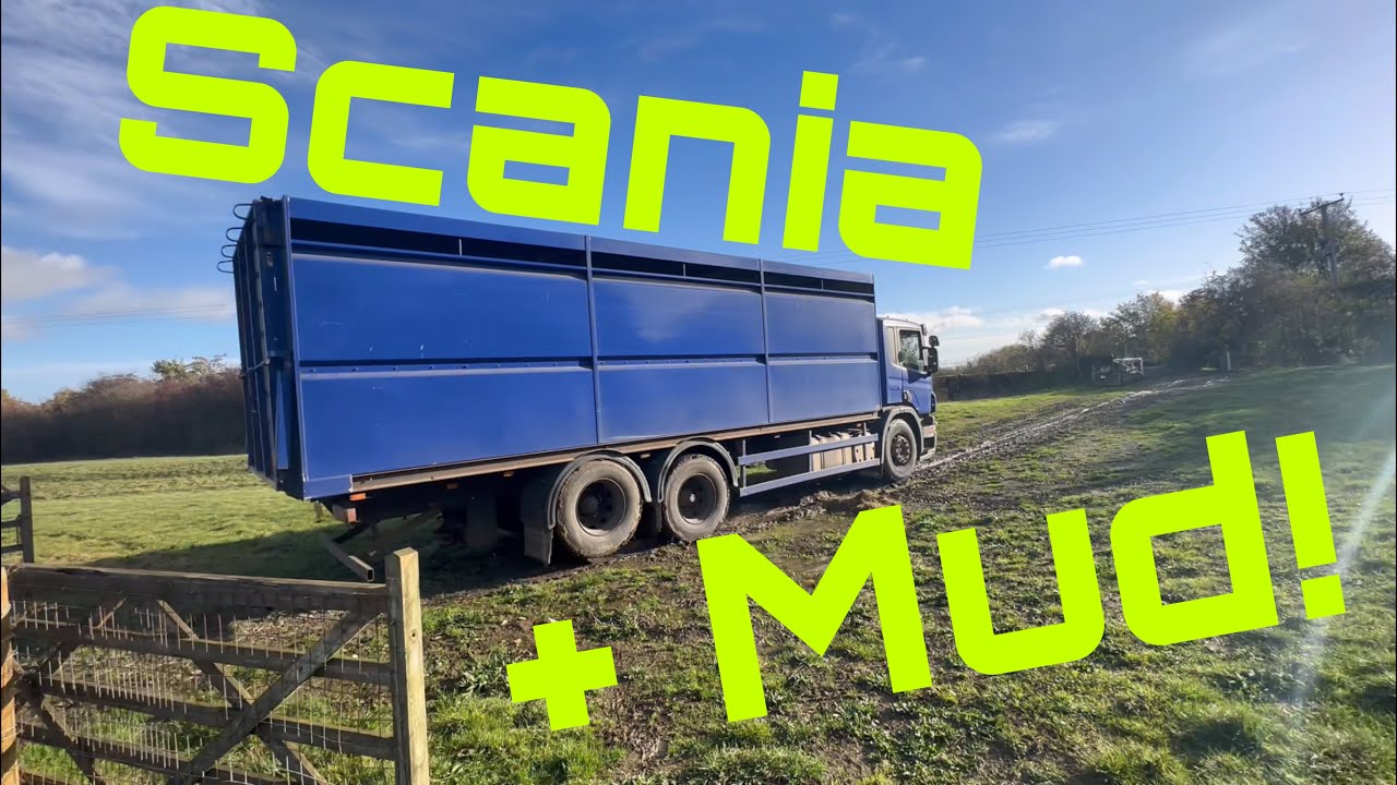 Slippy stuff for the Scania! Putting Cattle out to Grass Now! Fixing ...