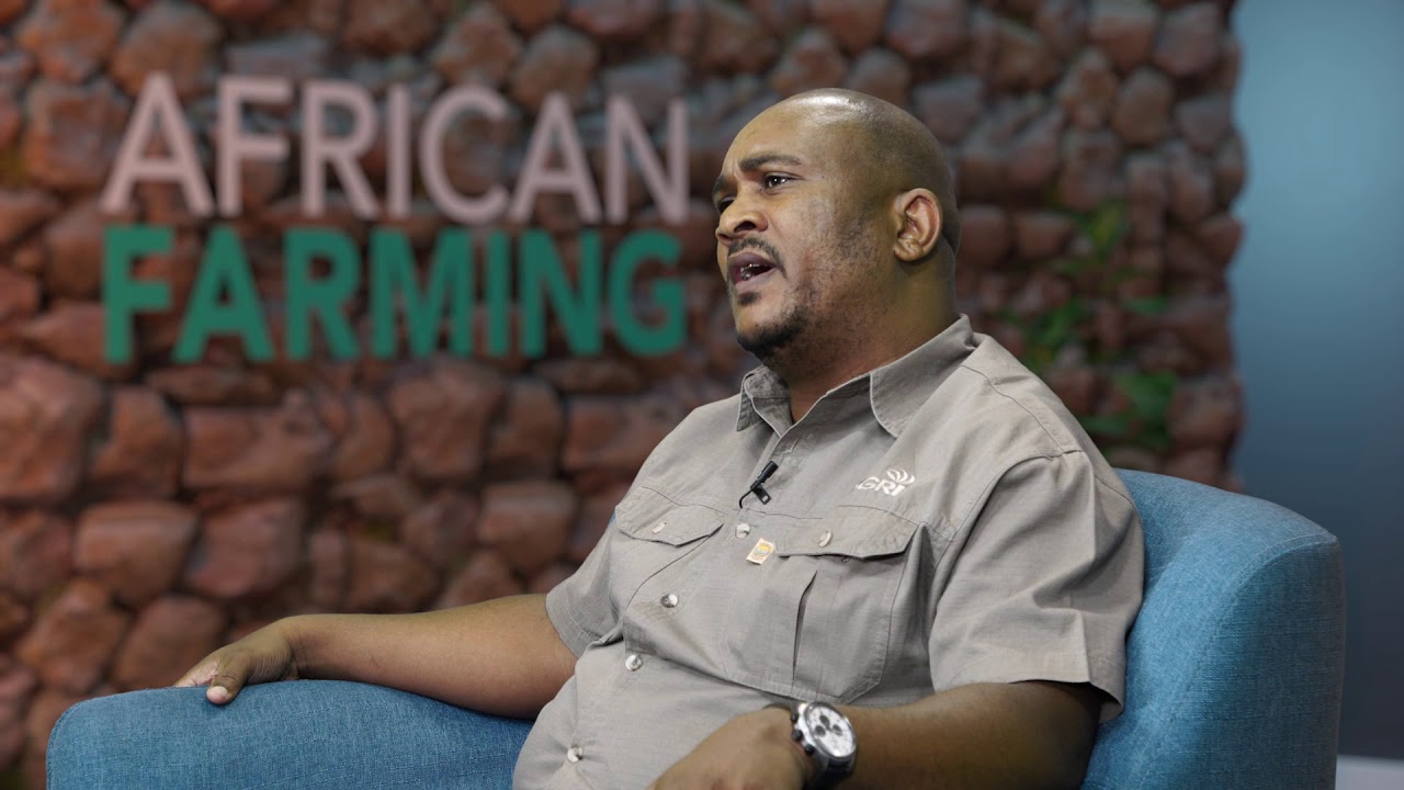 Here’s what AFGRI Retail can offer farmers - YouTube