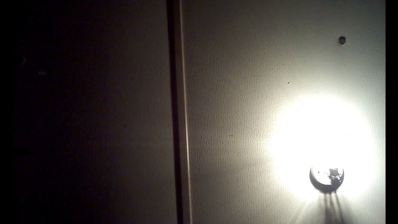 Zenomorph hive/overmorph egg/facehugger - YouTube