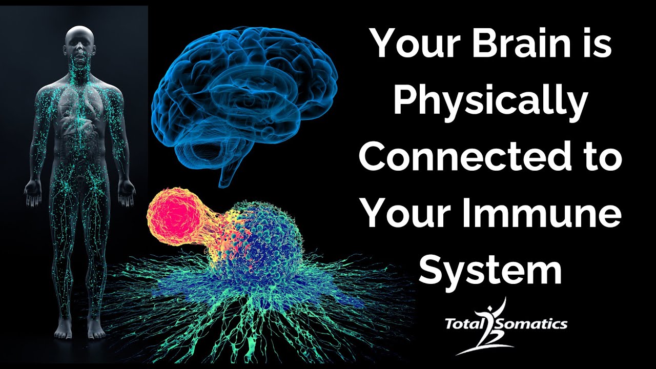 Your Brain Is Physically Connected To Your Immune System - YouTube