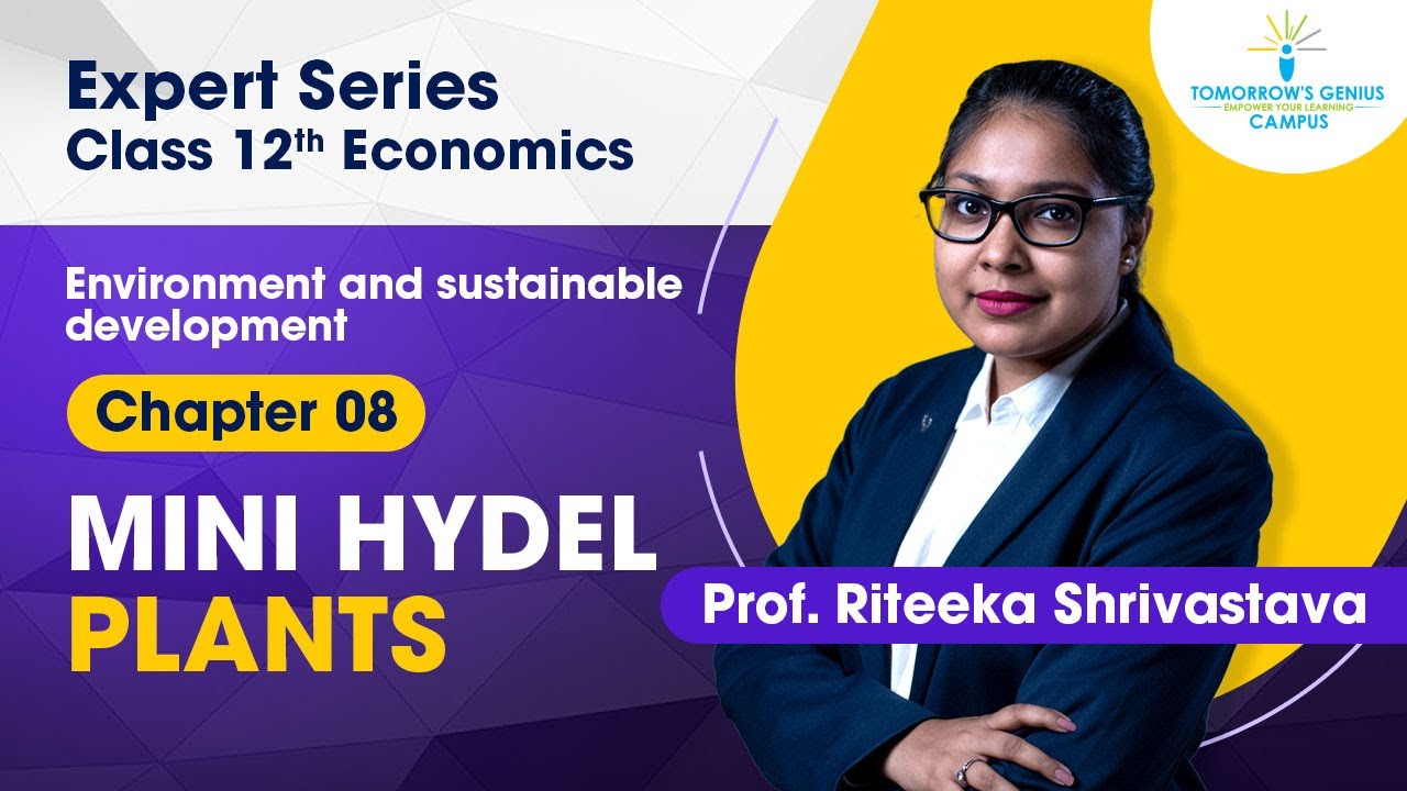 Mini hydel plants | Environment and sustainable development | 12th ...