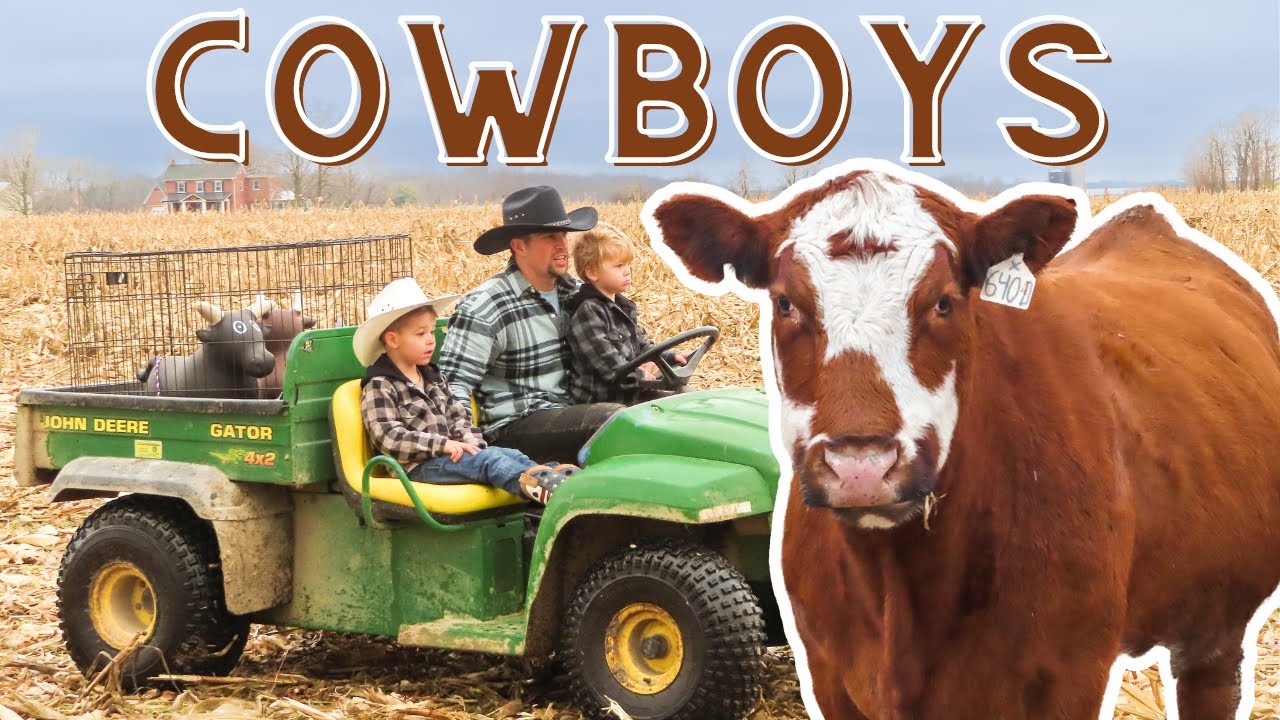Little Cowboys Wrangle Lost Cows on Farm! TOY COW WRANGLING/POWERWHEELS ...