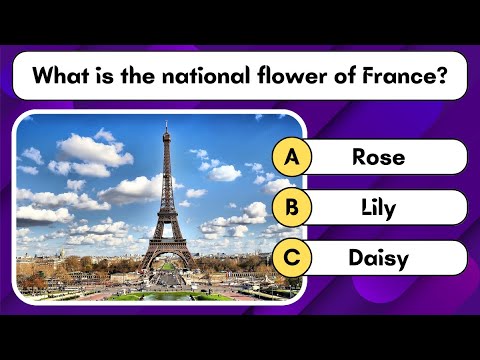 General Knowledge Quiz #4 - 40 Questions and 10 Second Each - YouTube