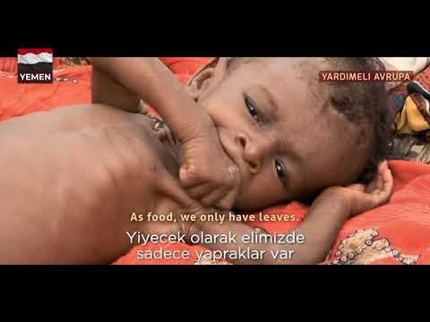 Kurbanlarımız Yemen’e! - Our Qurbans to Yemen! | Yardımeli Avrupa