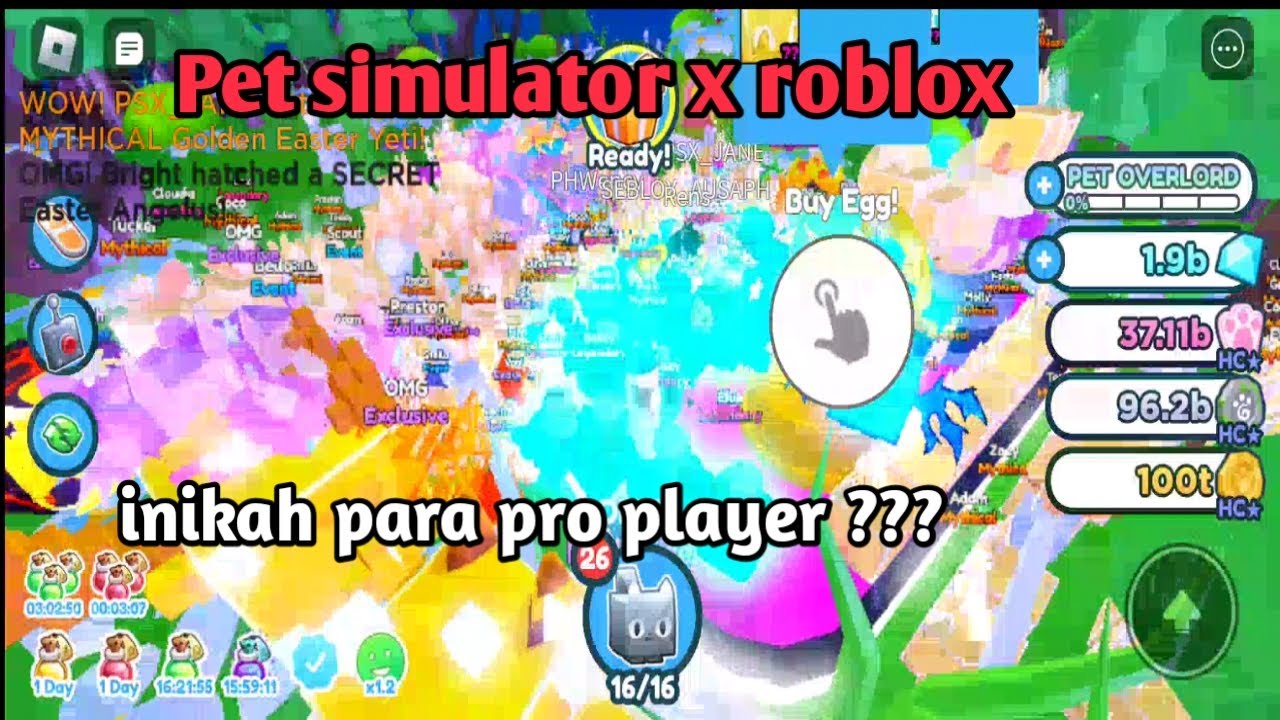 Pet simulator x roblox inikah para pro player ??? - YouTube