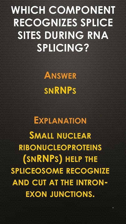 Top 8 RNA Splicing Facts You Need to Know! - YouTube
